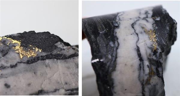 New Found Gold's new CEO is an operations expert | 2025-01-20 ...