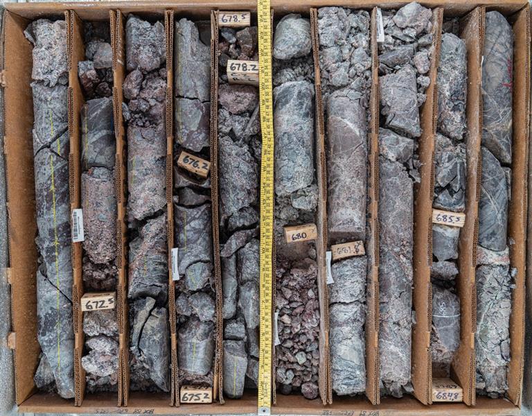 Buzz on the Bullboards: Quality stocks never get old | 2024-01-04 ...