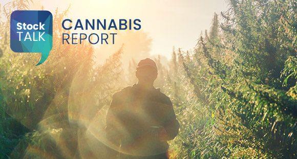 StockTalk | Cannabis Report: New CEO, new dispensaries, new strains ...