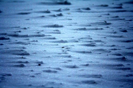 Buzz on the Bullboards: Holiday blues, or blue-chips? | 2023-12-14 ...