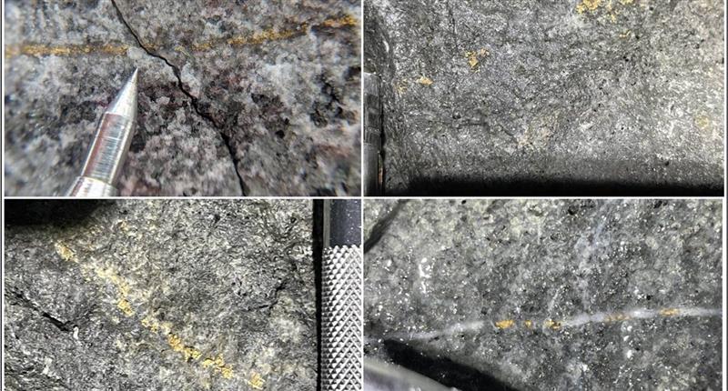 StockTalk | Gold Report: New records, leadership and discoveries | 2025 ...