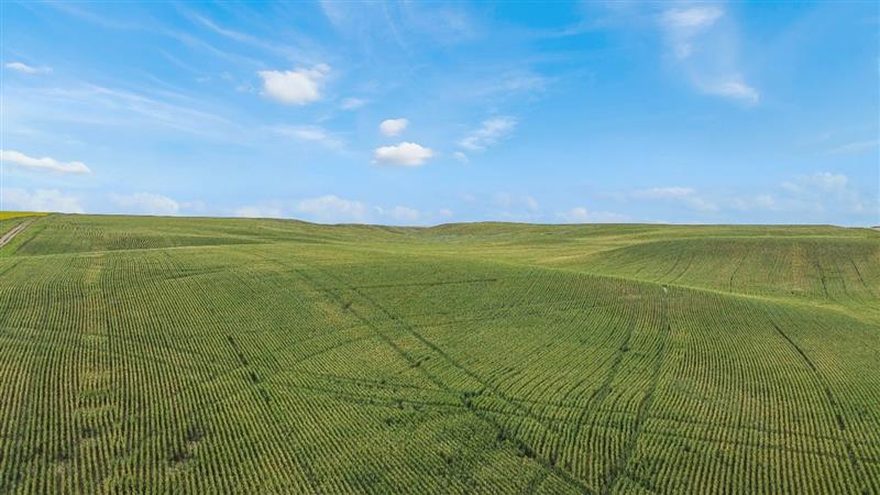 Prospera Energy's path to cleaner, more profitable energy production ...